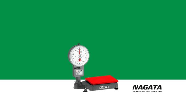 Nagata L 100 – Shasa Scale